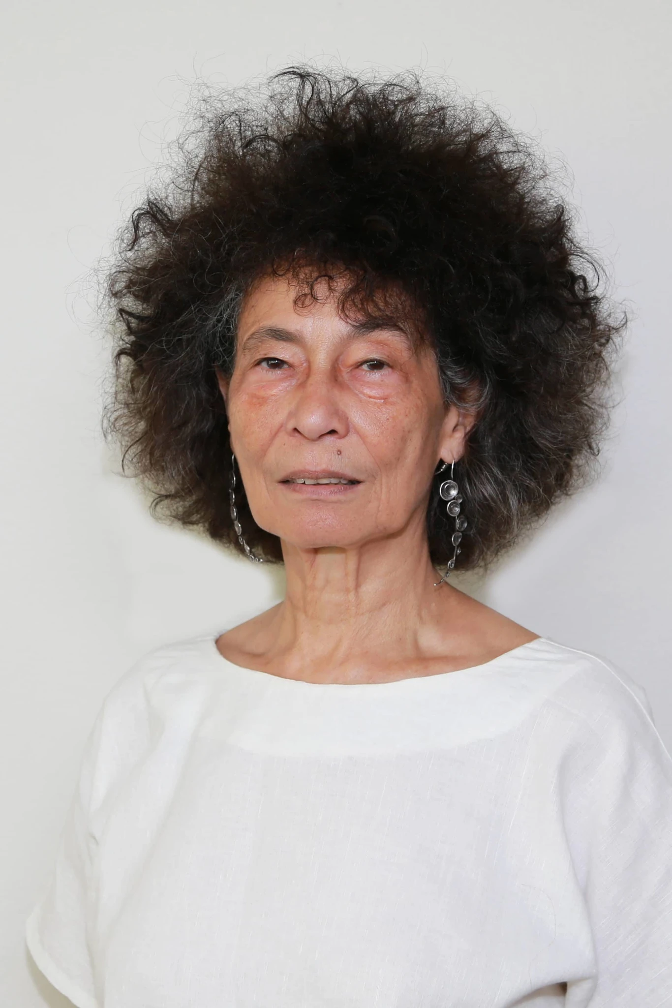Zoë Wicomb | STIAS: The Stellenbosch Institute for Advanced Study